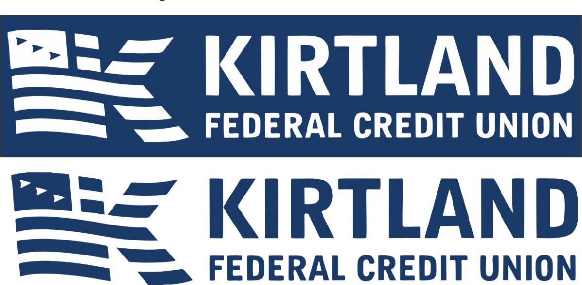 LW100 Ladies Carefree Blouse